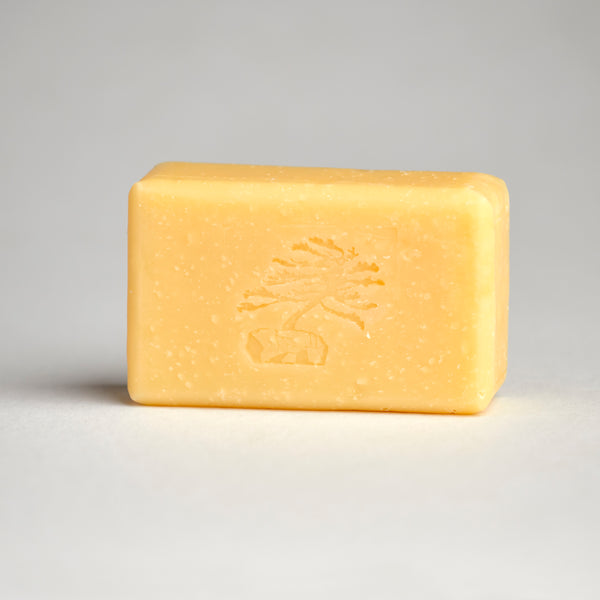 Enliven Bar Soap - Soapstones Natural Skincare